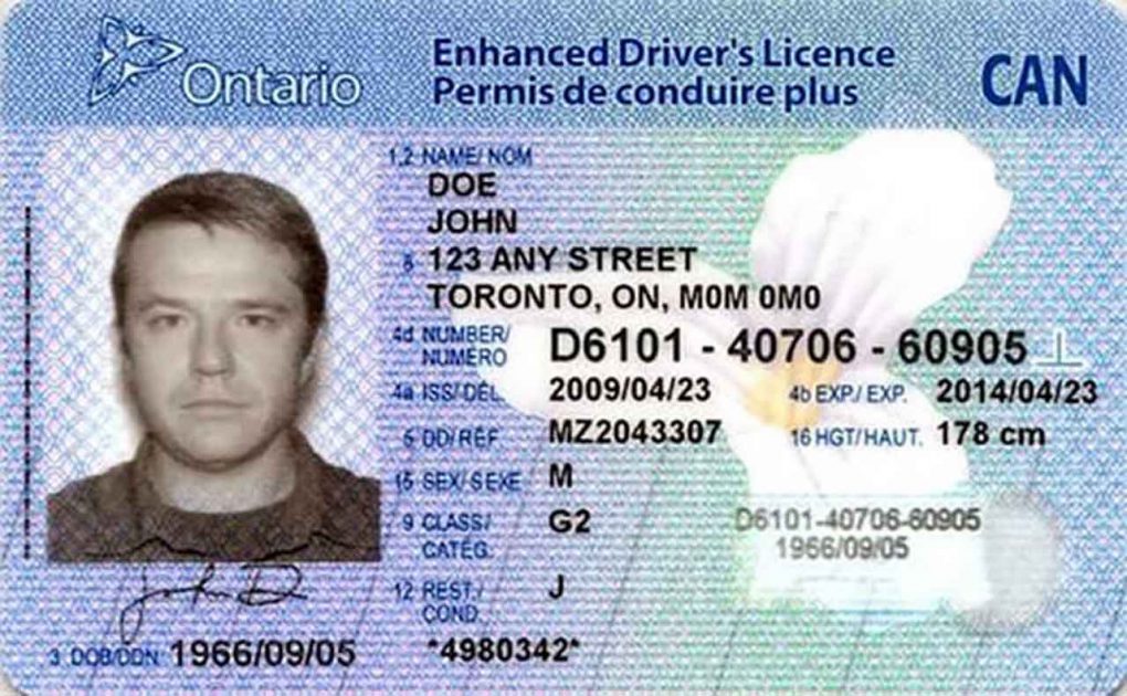 Condition Y Ontario Drivers License Jzapoint